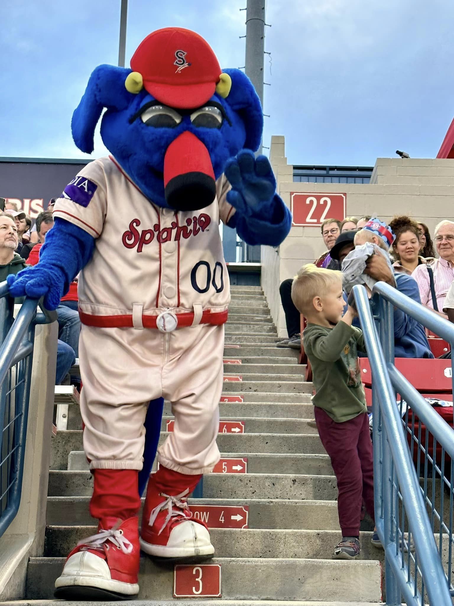 Mascots – 10 Stadiums 10 Days