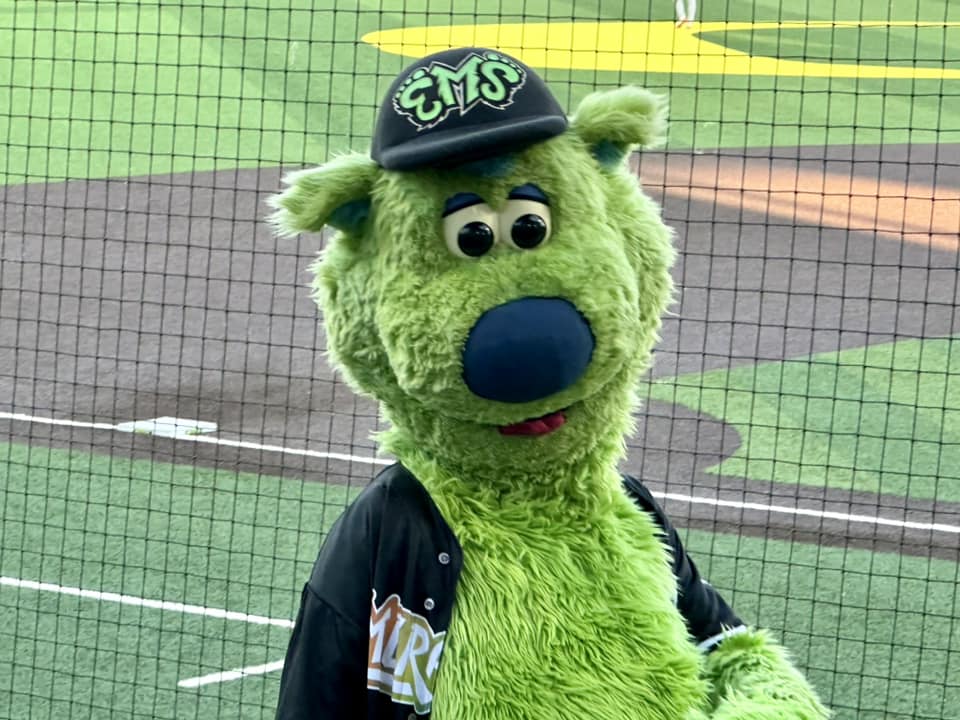 Mascots – 10 Stadiums 10 Days